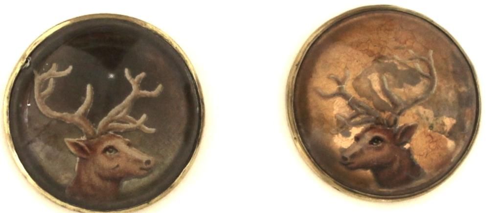 Pair early bridle rosette buck deer under glass.