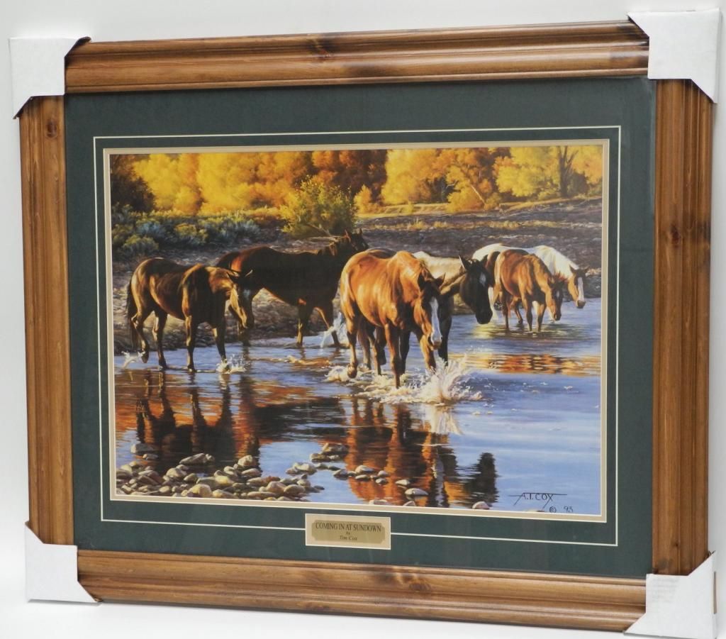 Coming In At Sundown by Tim Cox