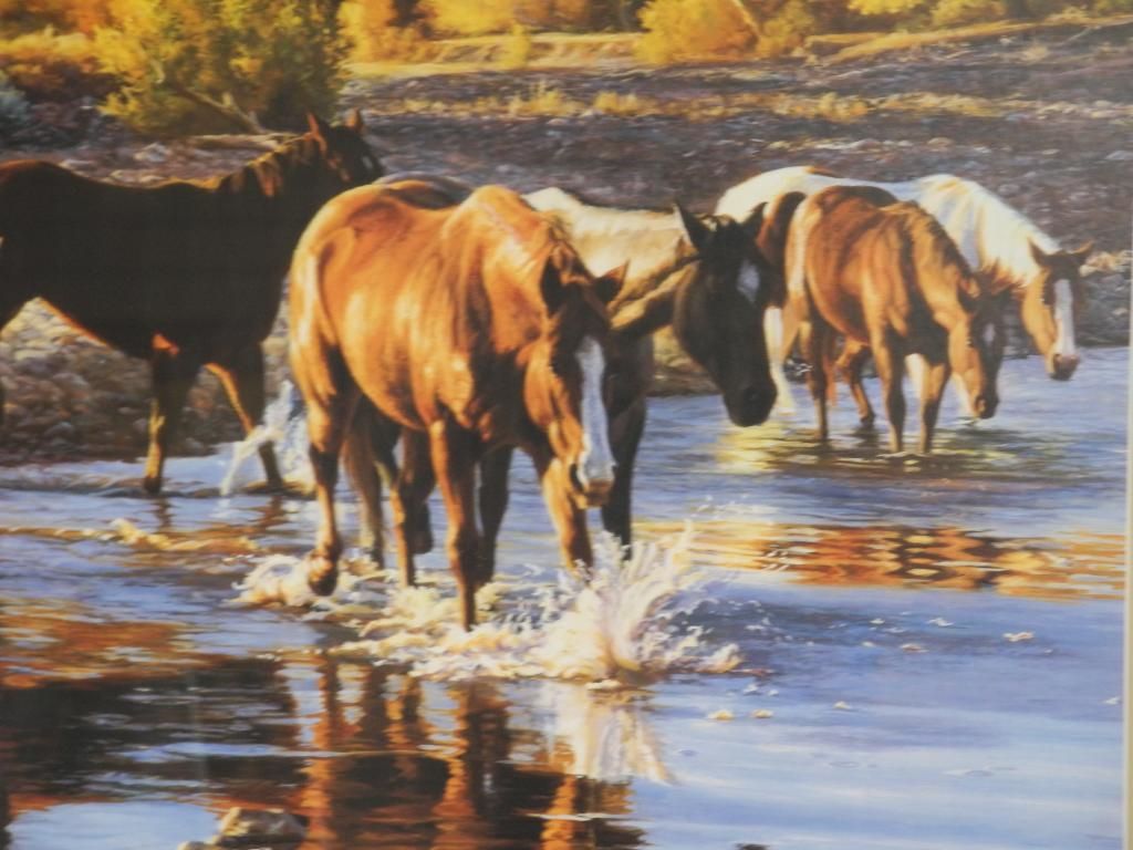 Coming In At Sundown by Tim Cox