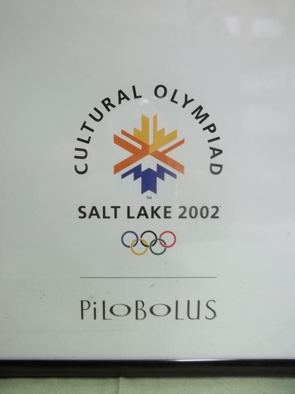 2002 SLC Winter Olympics Pilobolus Poster