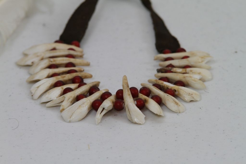 Native American Bear Teeth Necklace