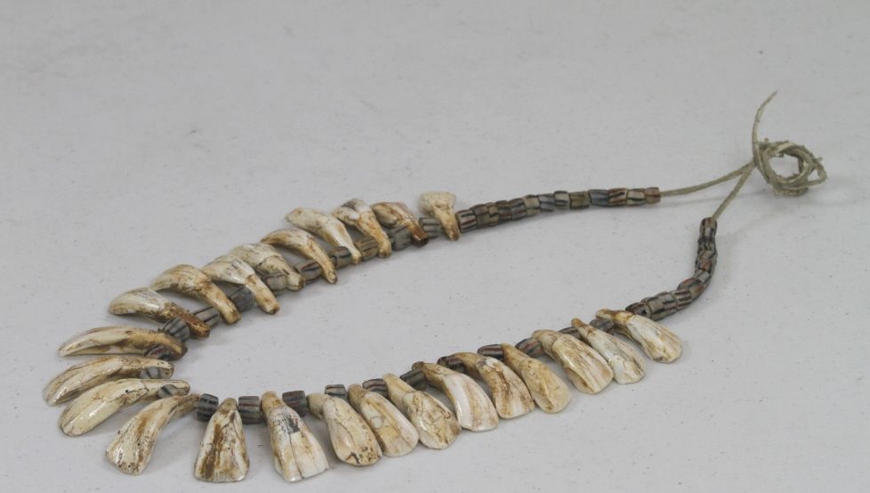 Native American Horse Teeth Necklace