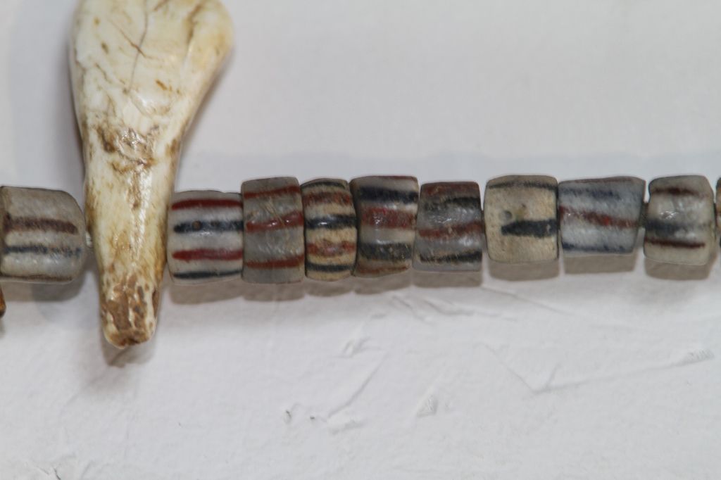 Native American Horse Teeth Necklace