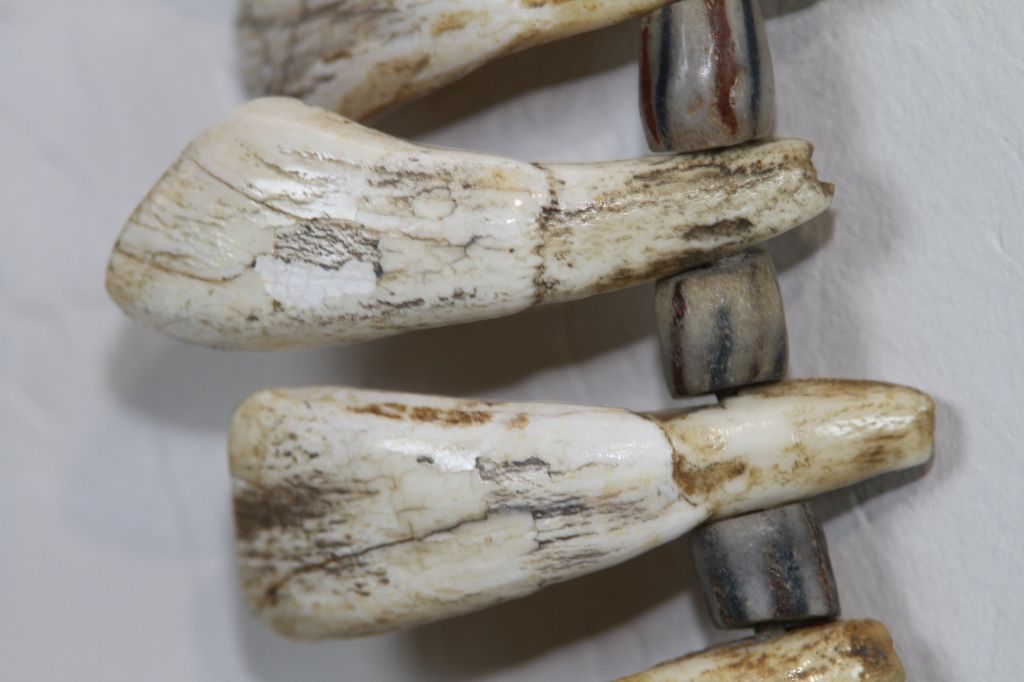 Native American Horse Teeth Necklace