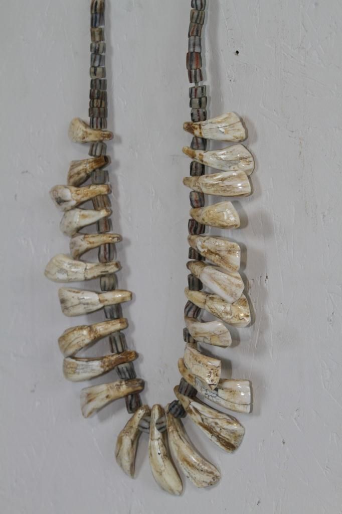 Native American Horse Teeth Necklace