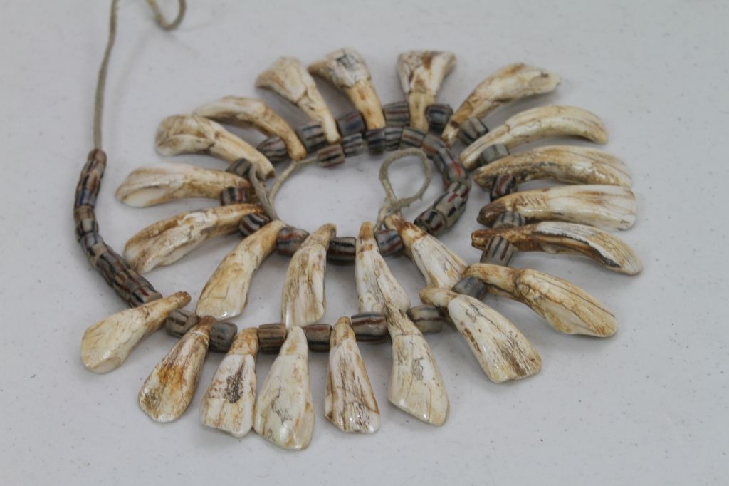 Native American Horse Teeth Necklace