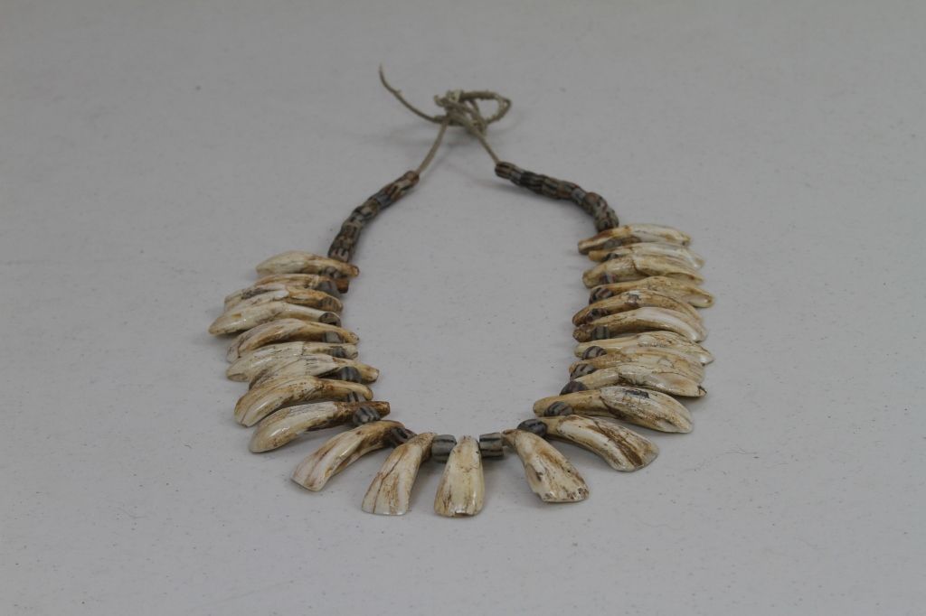 Native American Horse Teeth Necklace