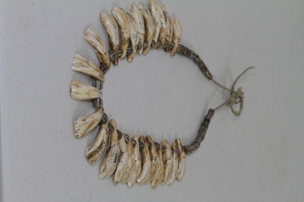 Native American Horse Teeth Necklace