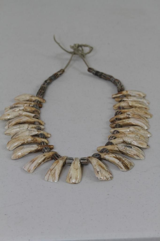 Native American Horse Teeth Necklace