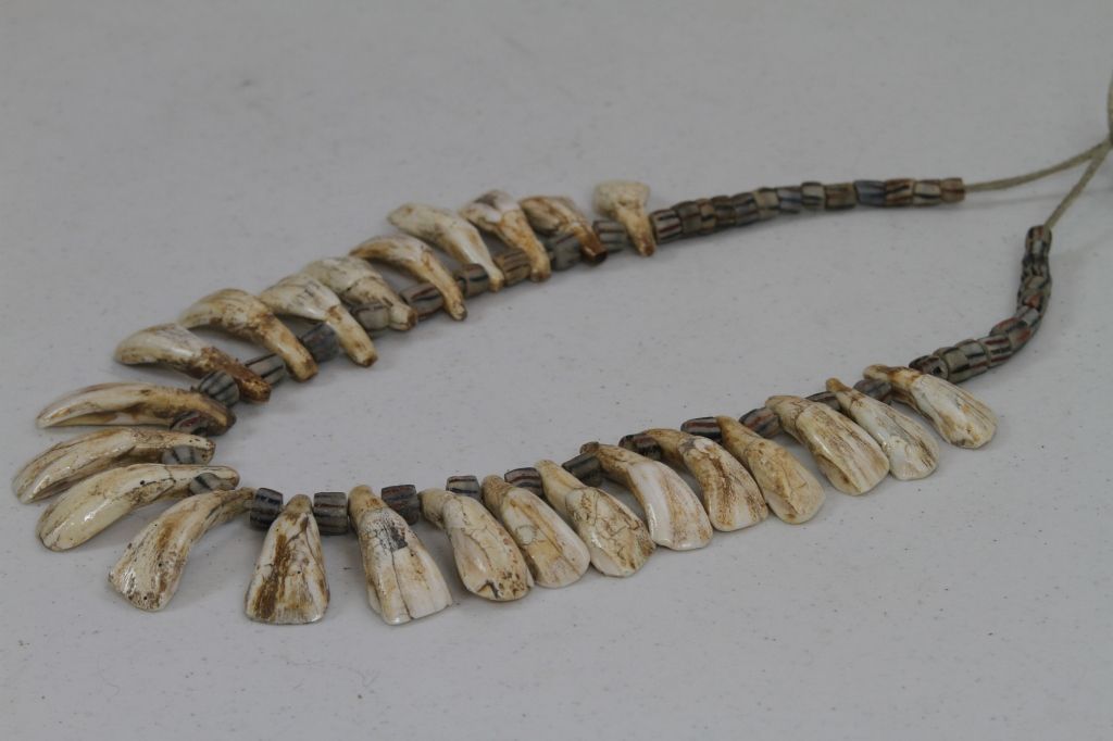 Native American Horse Teeth Necklace