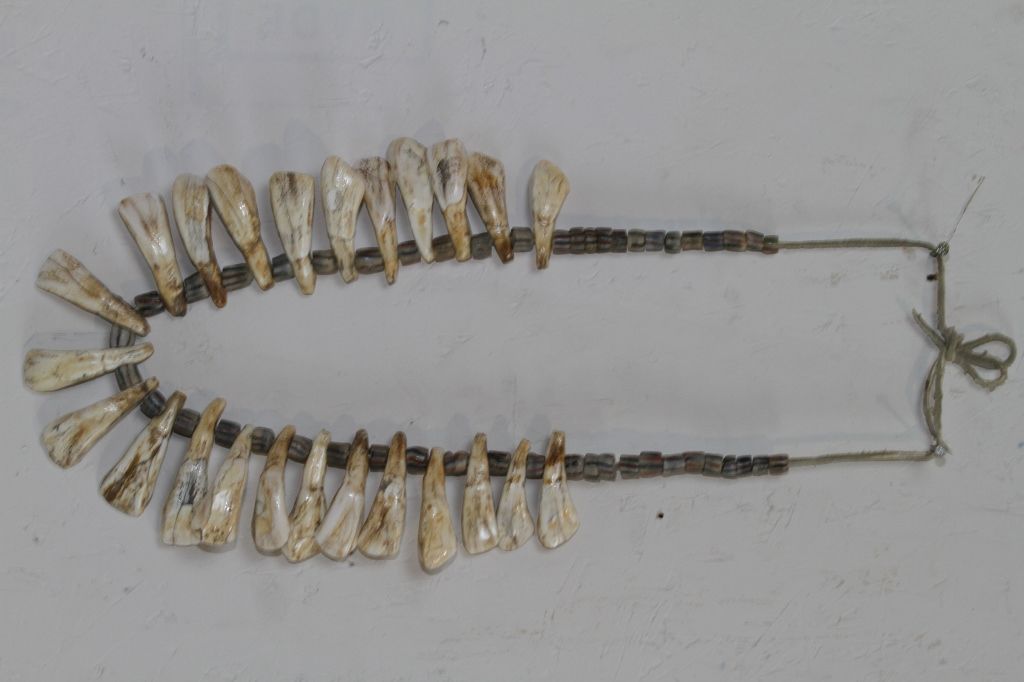 Native American Horse Teeth Necklace