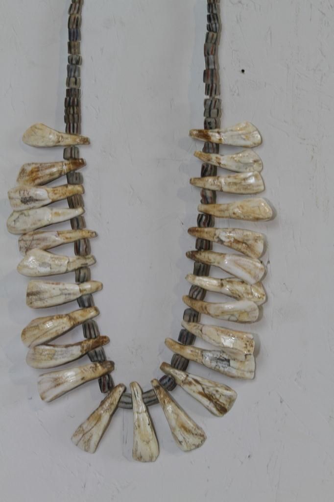 Native American Horse Teeth Necklace
