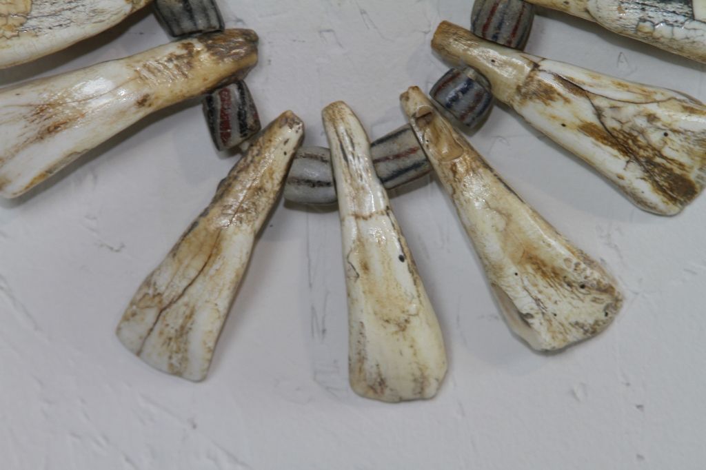 Native American Horse Teeth Necklace