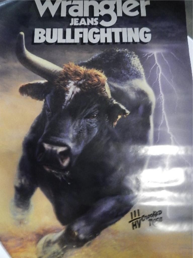 Collection of 17 Western Posters
