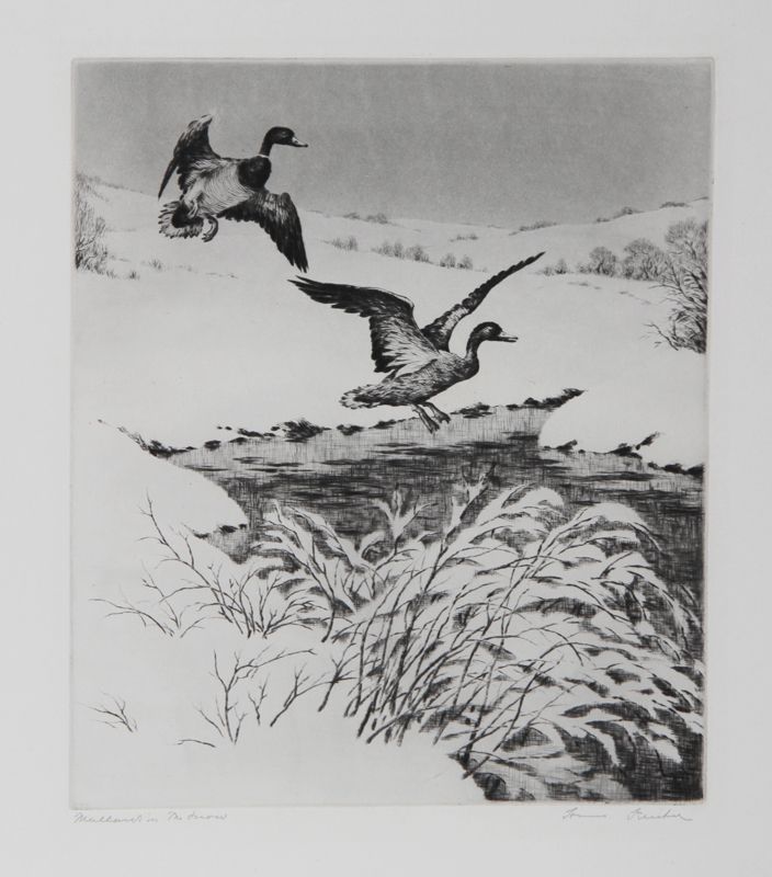 Hans Kleiber, Mallards in the Snow, Etching