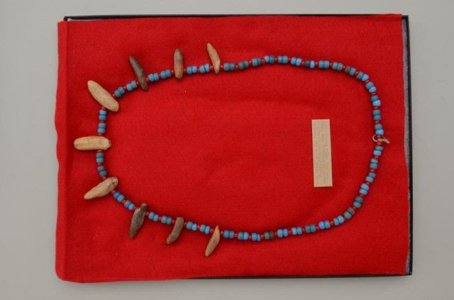 Inuit Walrus tooth necklace with old padre trade beads of red and blue ...