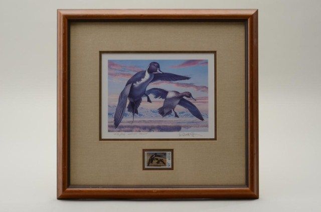 Framed and matted Limited Edition 1984 Nevada Duck Stamp color print by ...