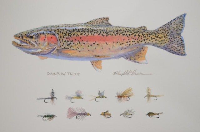 Beautiful large color print on heavy rag paper by noted wildlife artist ...