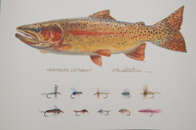 Beautiful large color print on heavy rag paper by noted wildlife artist ...