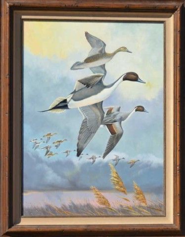 Original oil painting on artist board entitled “Pin Tail” by artist ...