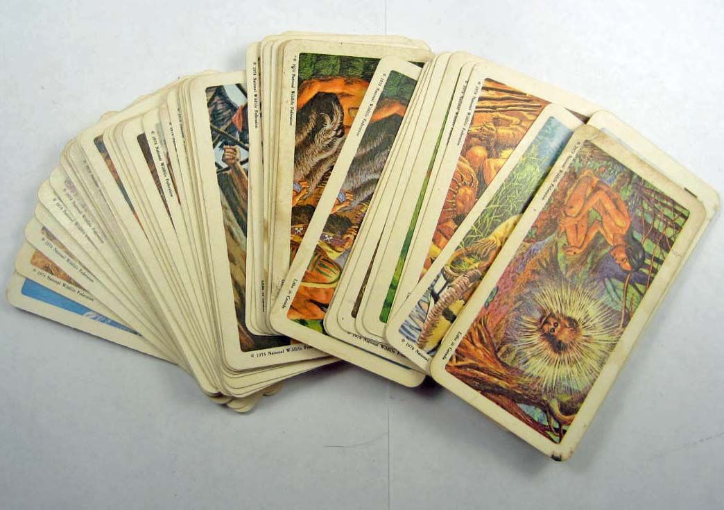 LOT OF 49 VINTAGE INDIANS OF CANADA RED ROSE TEA CARDS
