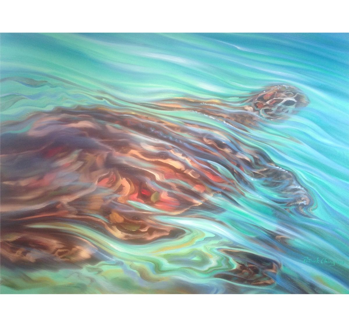 Honu Kai - KAI Show, Patrick Ching 2013