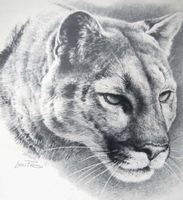 Leon Parson Grizzly and Mountain Lion Prints