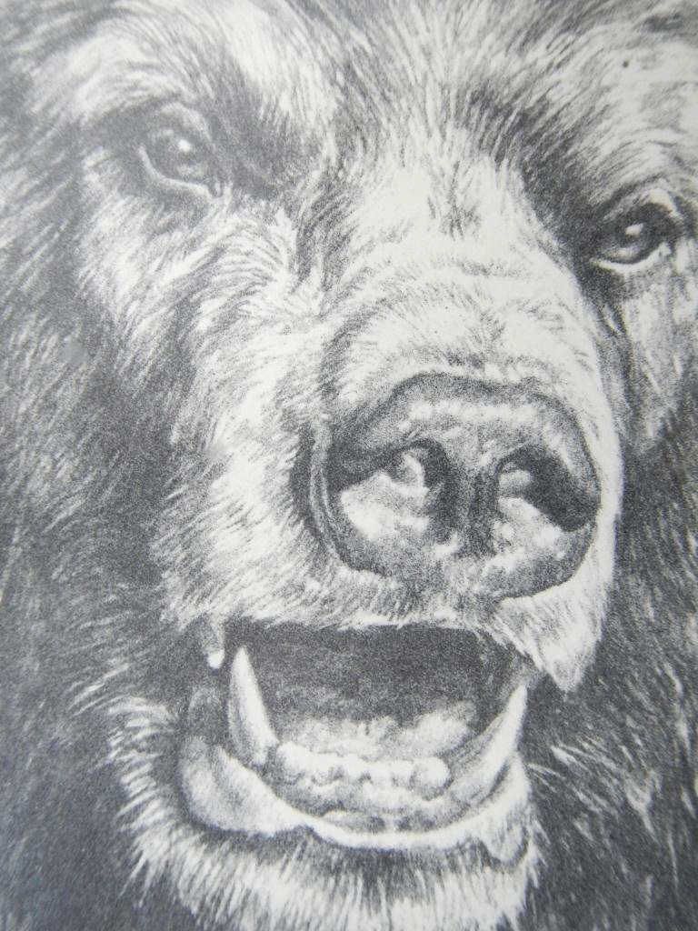 Leon Parson Grizzly and Mountain Lion Prints