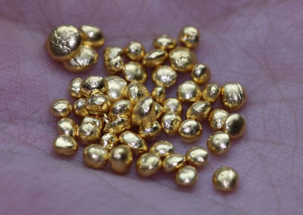 40 GRAMS PURE 24K GOLD SHOTS