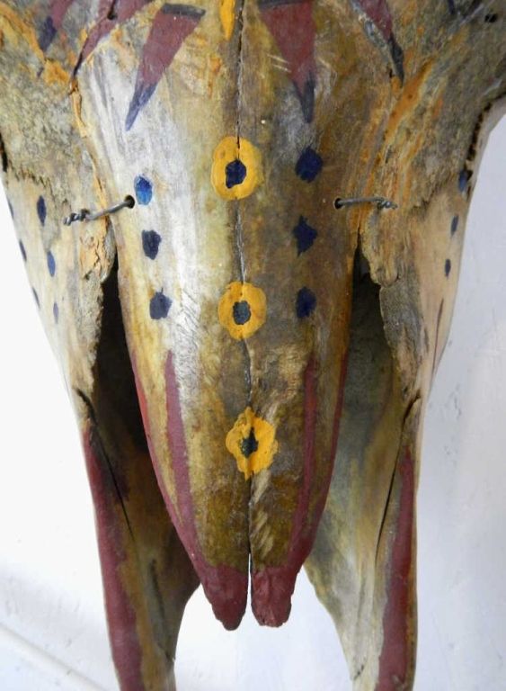 Sioux Painted Buffalo Skull