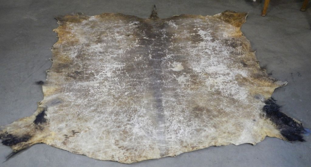 Sioux Painted Buffalo Hide pre-1850's