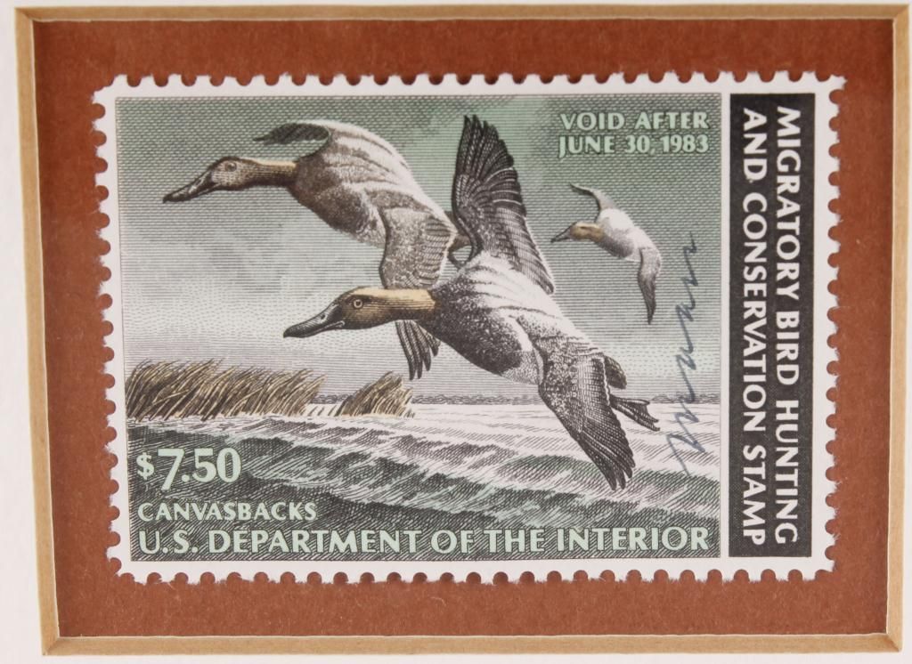 Limited Edition "1982 Federal Duck" Stamp & Print