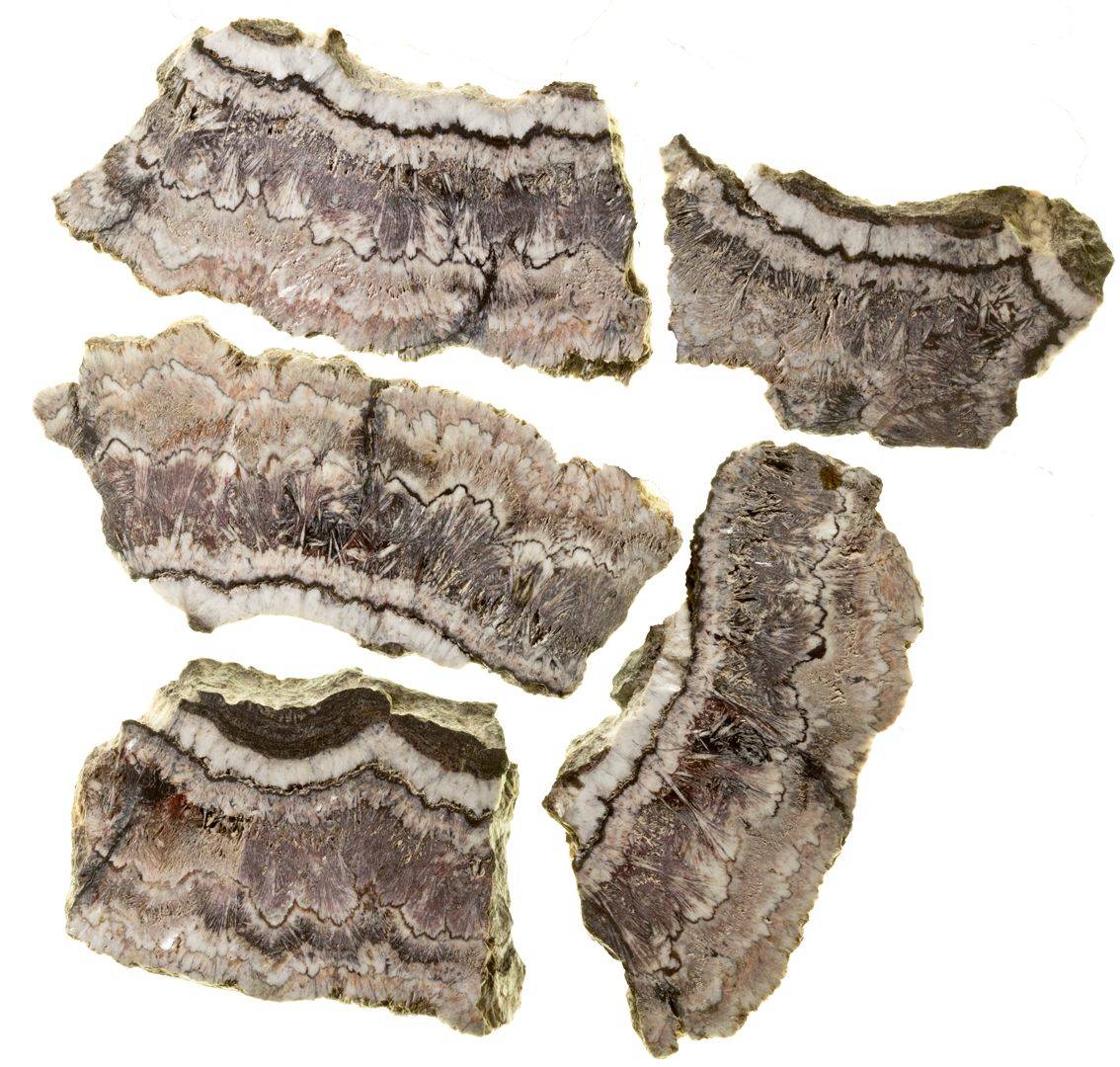 NV, Silver Peak-Esmeralda County-Native Silver, Acanthite, and Banded ...