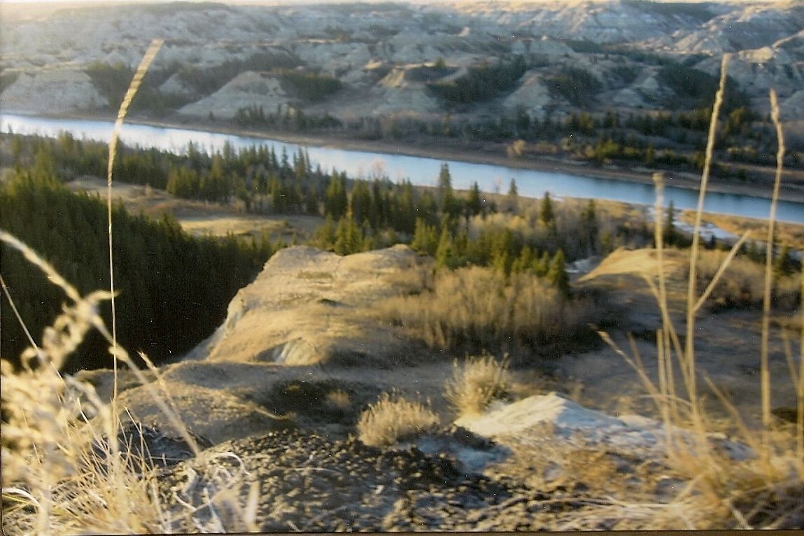 6-day Red Deer River Valley, Alberta Mule Deer Hunt 2014