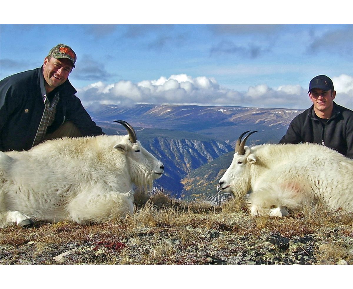 7-Day British Columbia Mountain Goat Hunt 2014