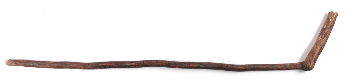 Mask of Zorro: Anthony Hopkins