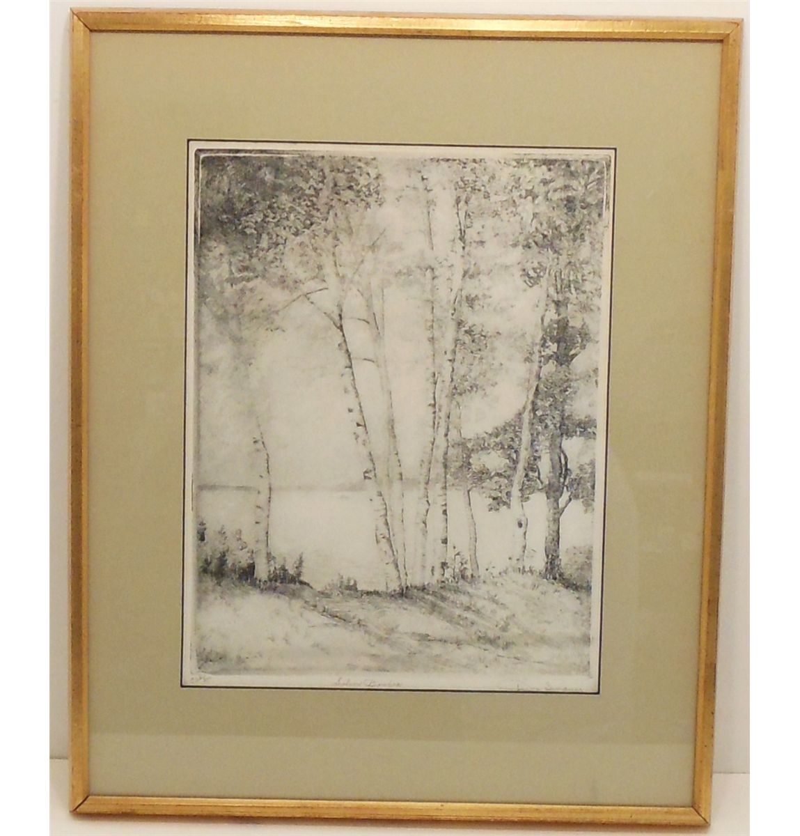 Don Swann Etching "Silver Birches"