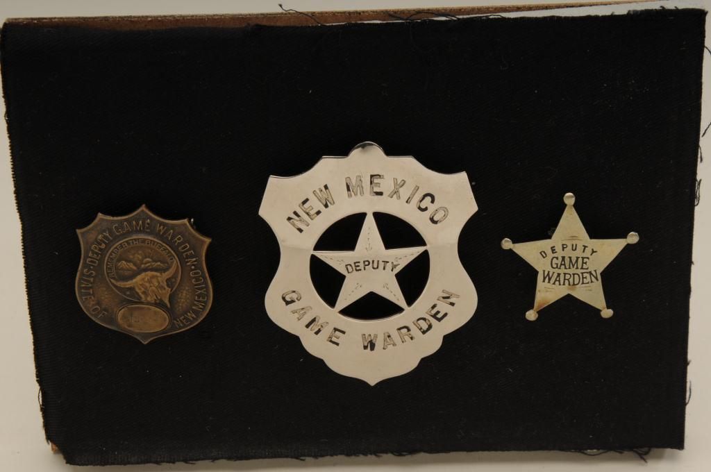 Lot of 3 Deputy Game Warden badges in wood and glass shadow box having ...