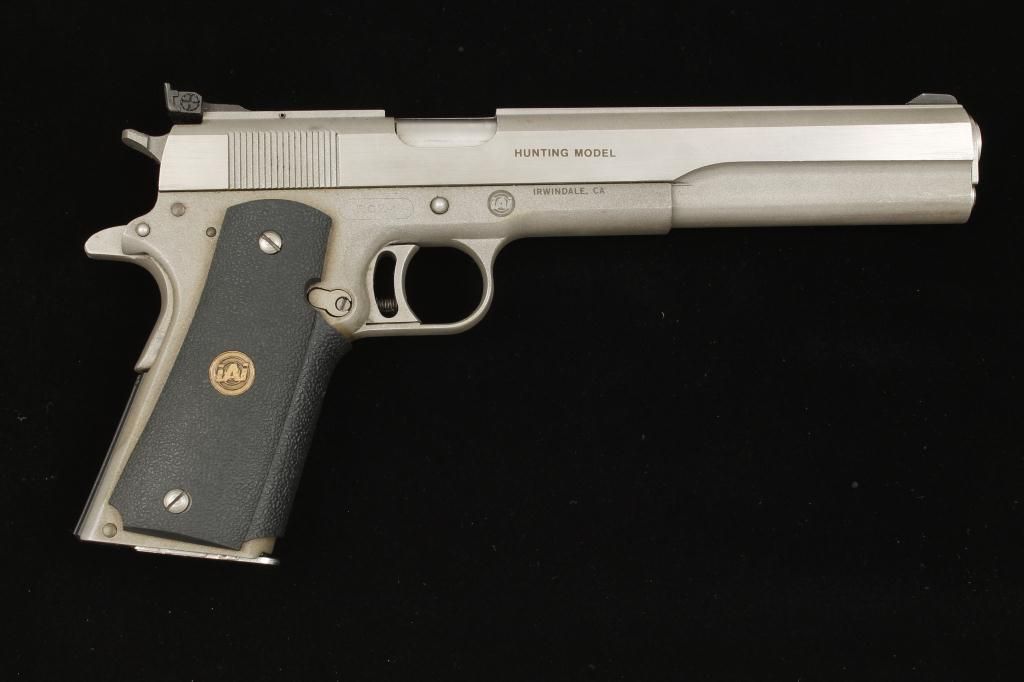 iAi Javelina Hunting Model semi-auto pistol, 10mm semi-automatic pistol ...