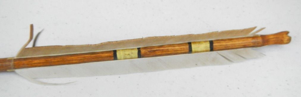 Cheyenne Arrows