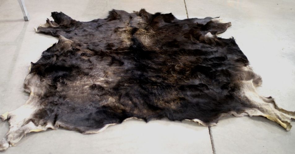 Moose Hide