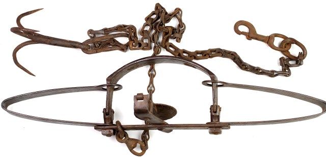 Newhouse No. 4 1/2 Wolf trap with original chain