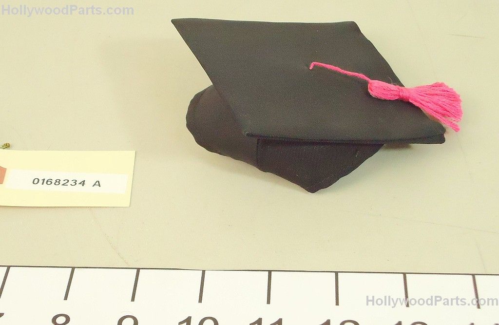 LEGALLY BLONDE BRUSIERS GRADUATION CAP WITH PINK TASSEL