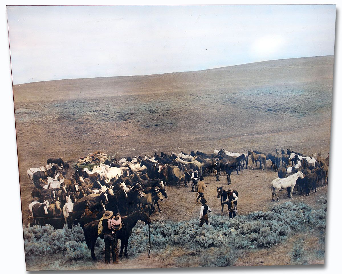 L.A. Huffman, hand tinted enlarged photo