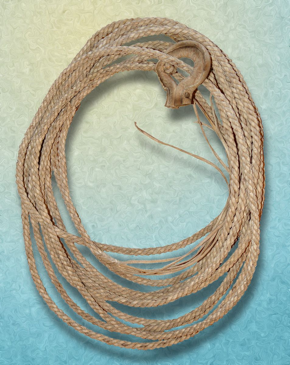 Rare twisted rawhide reata, 40 ft. long with unusual hondo and ...