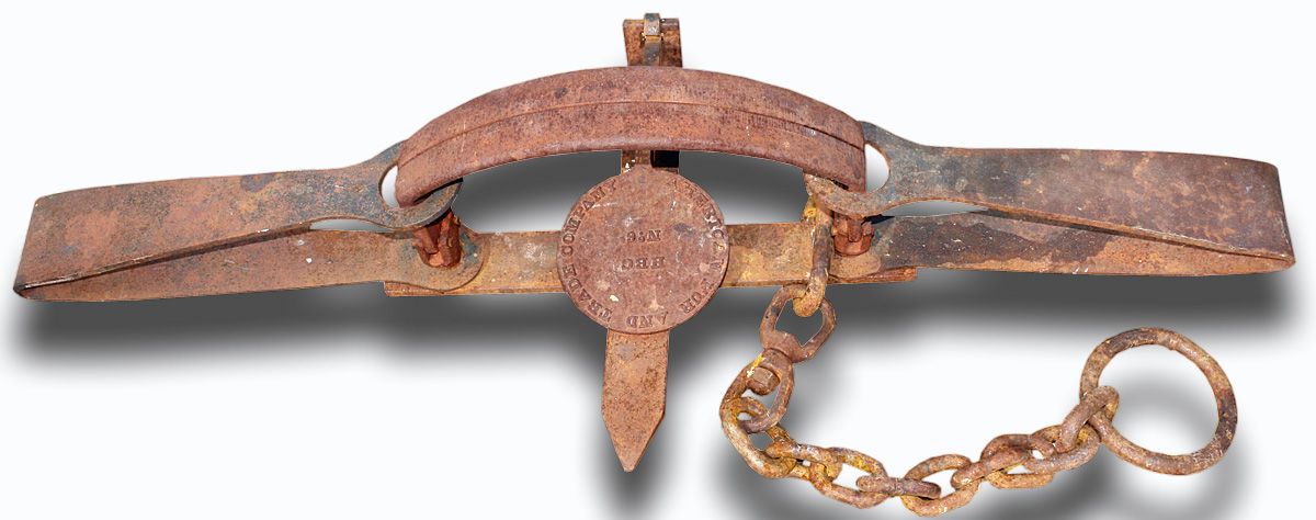 American Fur & Trade Company HBC #6 bear trap with teeth.