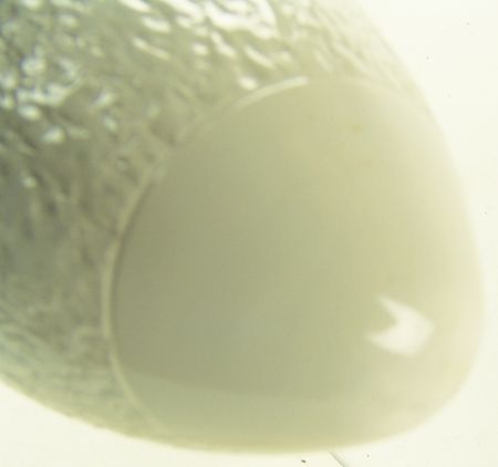 Kickapoo Art Pottery - Pahponee