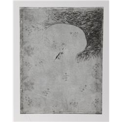 Donald Saff, Profile through Flower Screen, Etching