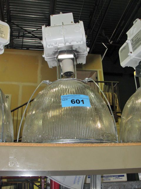 Industrial overhead shop light