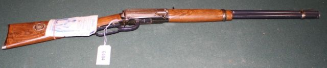 NRA BB Gun "100 Year Anniversary"